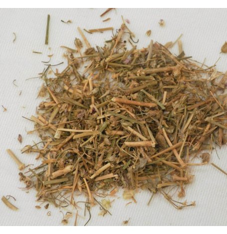 Tisane de Sabline rouge - Spergularia rubra - partie aérienne | Herbonata